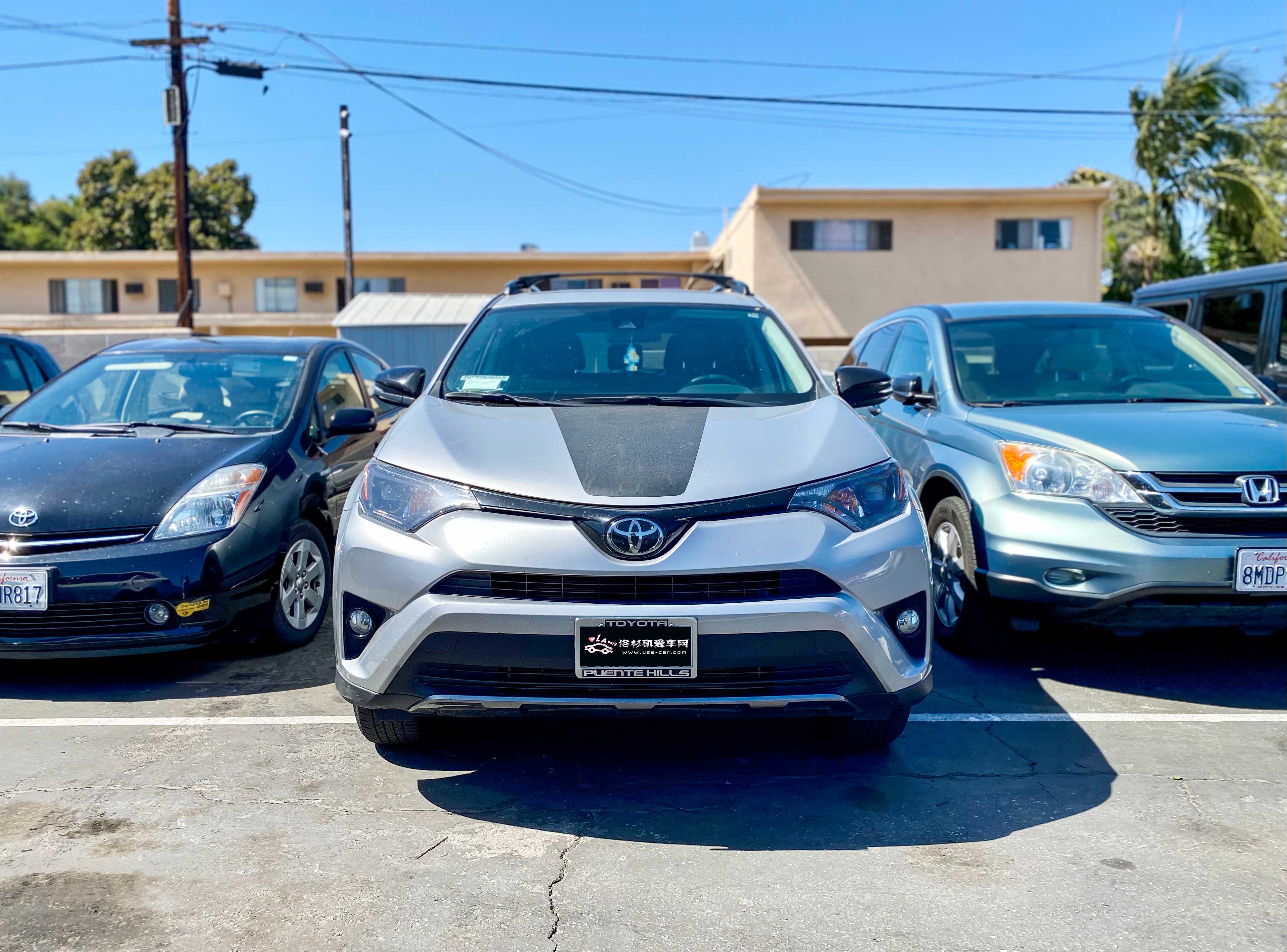 TOYT RAV4 丰田荣放 - 洛杉矶爱车网 LoveLAcARs